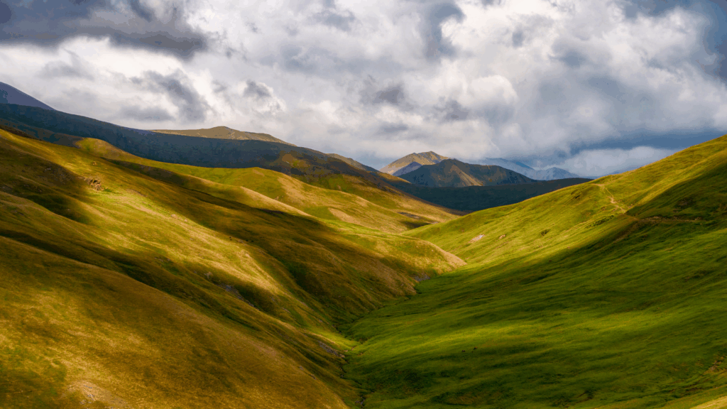 Acclaro Advisory - Helping Businesses Achieve Net Zero And Positive Social Impact