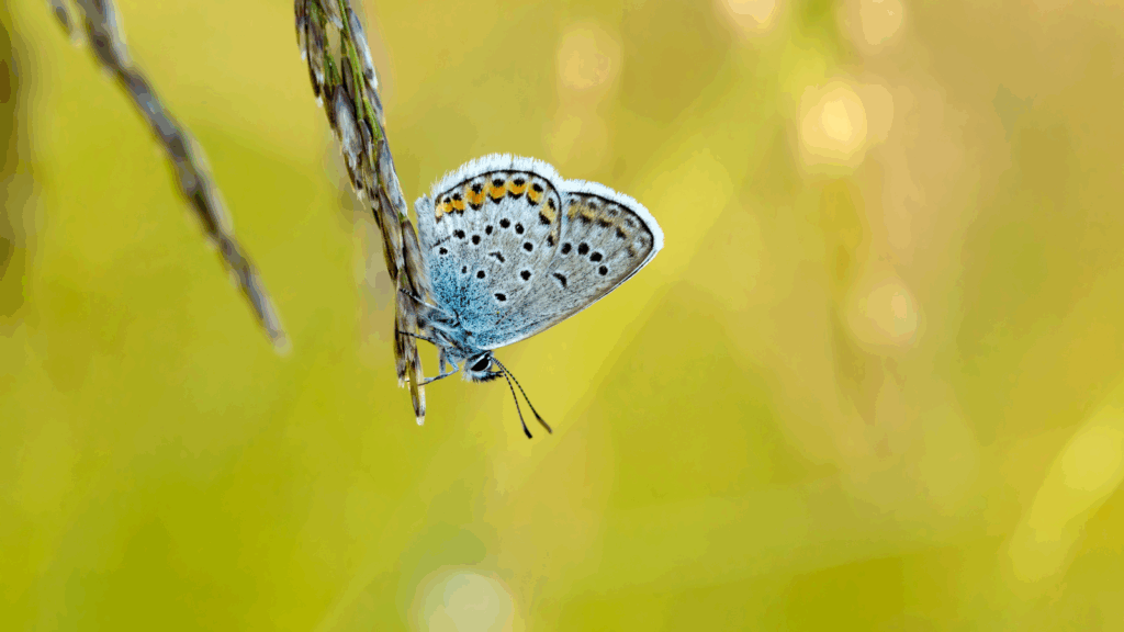 Acclaro Advisory - Helping Businesses Achieve Net Zero And Positive Social Impact