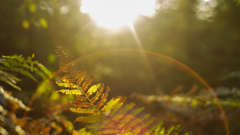 Revised GHG Protocol Standards | Acclaro